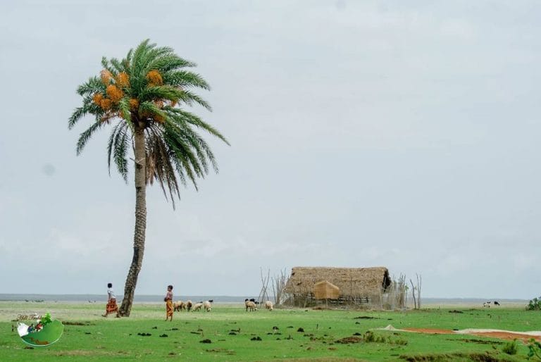 Nijhum Dwip: A Complete Travel Guide - Travel Mate