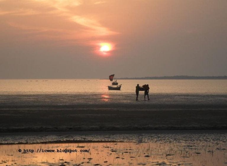 Nijhum Dwip: A Complete Travel Guide - Travel Mate