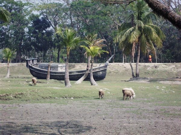 Sandwip Island: Travel Guideline - Travel Mate