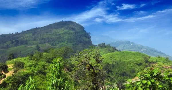 Dim Pahar Bandarban - A To Z Travel Guide - Travel Mate
